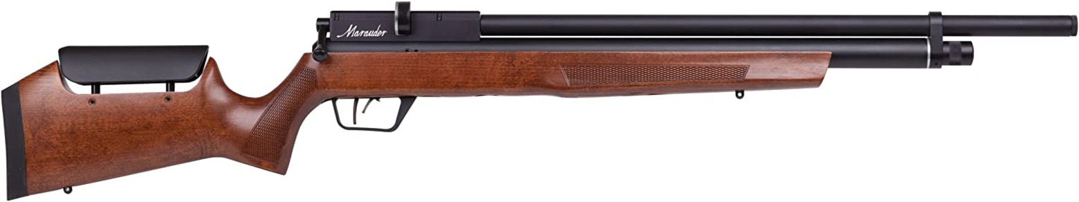 Top 7 Best Benjamin Air Rifles 2023 - Best Gaming All