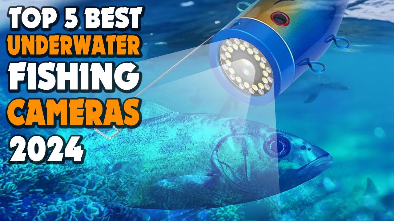 Top 5 Best Underwater Fishing Cameras 2024 - Best Gaming All
