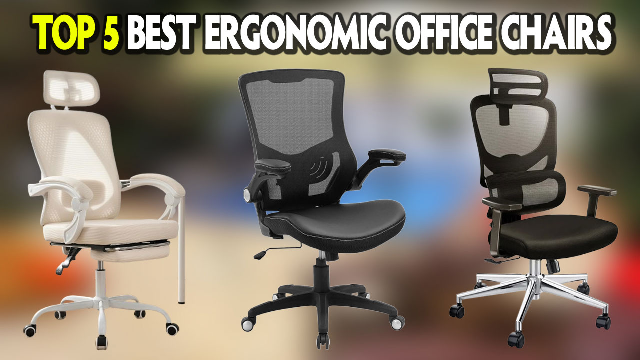 Top 5 Best Ergonomic Office Chairs 2025 - Best Gaming All