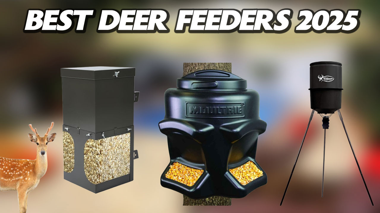Top 5 Best Deer Feeders 2025 - Best Gaming All