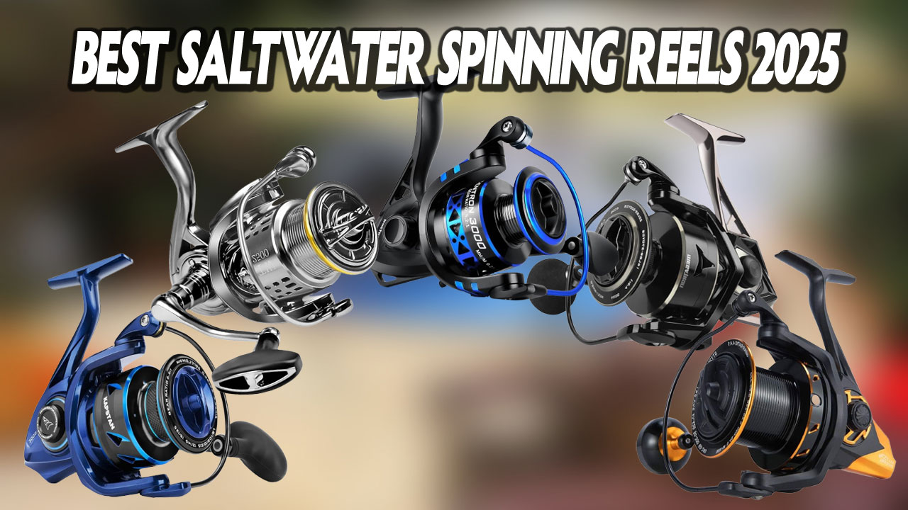 Best Saltwater Spinning Reels 2025 - Best Gaming All