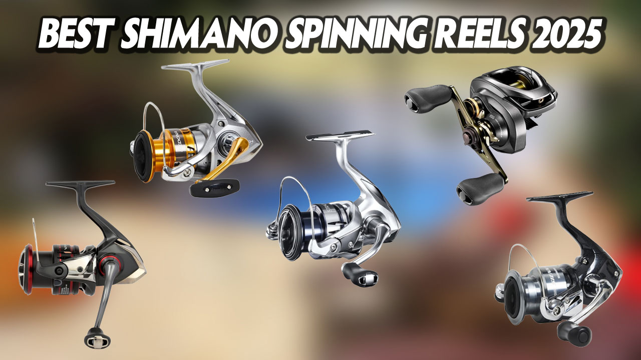 Best SHIMANO Spinning Reels 2025 - Best Gaming All