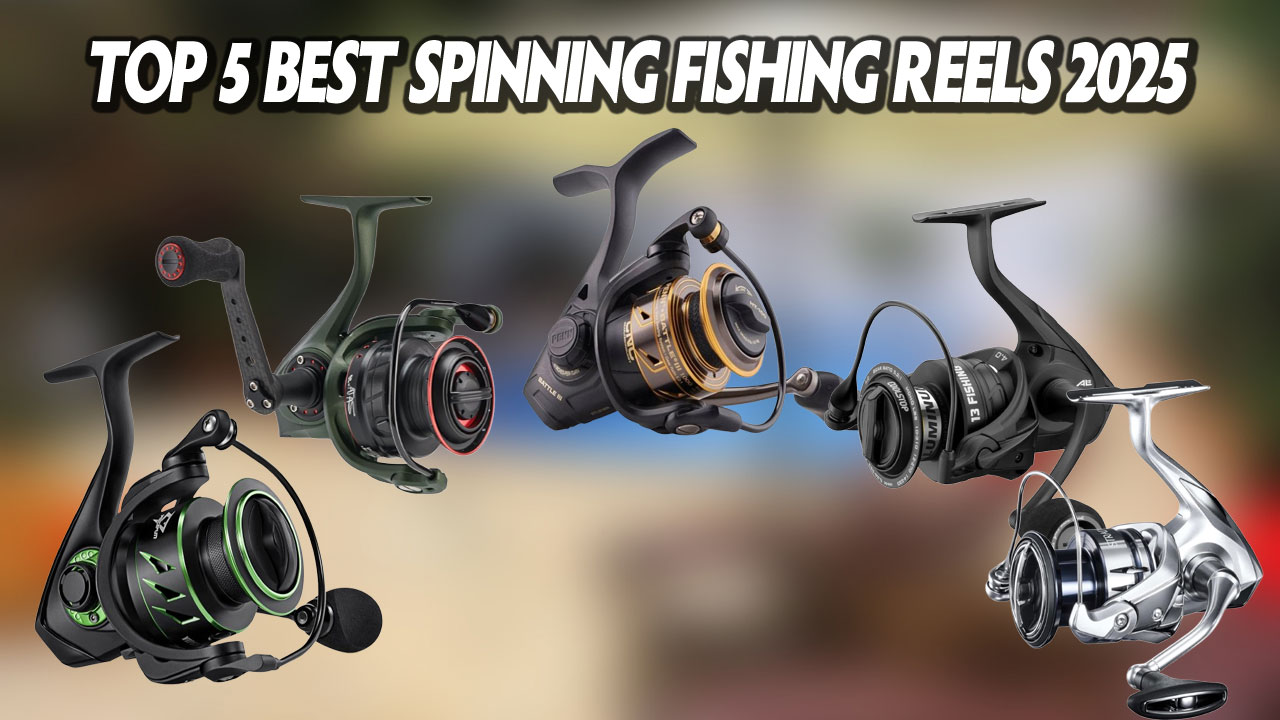 Best Spinning Fishing Reels 2025 - Best Gaming All